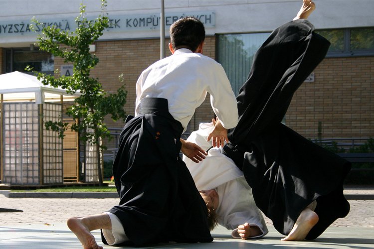 Uczelnia Polsko-Japońska Akademia Technik Komputerowych (PJATK)